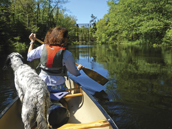 Moose River Ramble - Adirondack Life Magazine