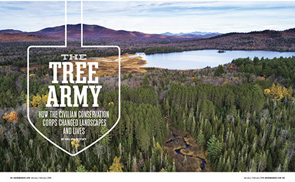 The Tree Army - Adirondack Life Magazine