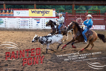 Painted Pony - Adirondack Life Magazine