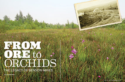 From Ore to Orchids - Adirondack Life Magazine