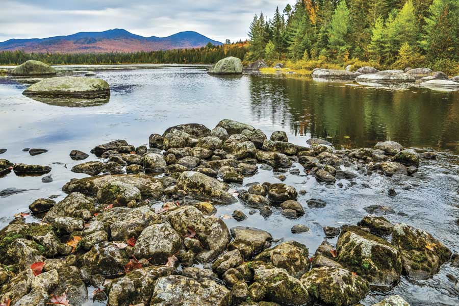 Wild Wolf Pond - Adirondack Life Magazine