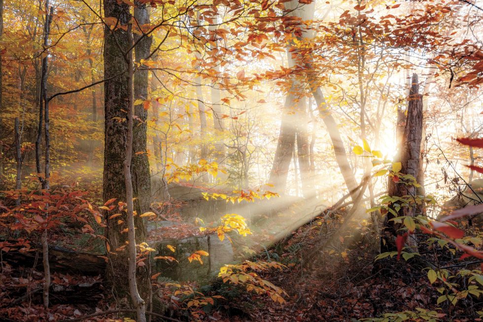 Adirondack Life Home Page - Adirondack Life Magazine