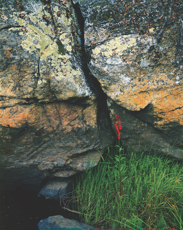 Photographer Nathan Farb at 80 - Adirondack Life Magazine
