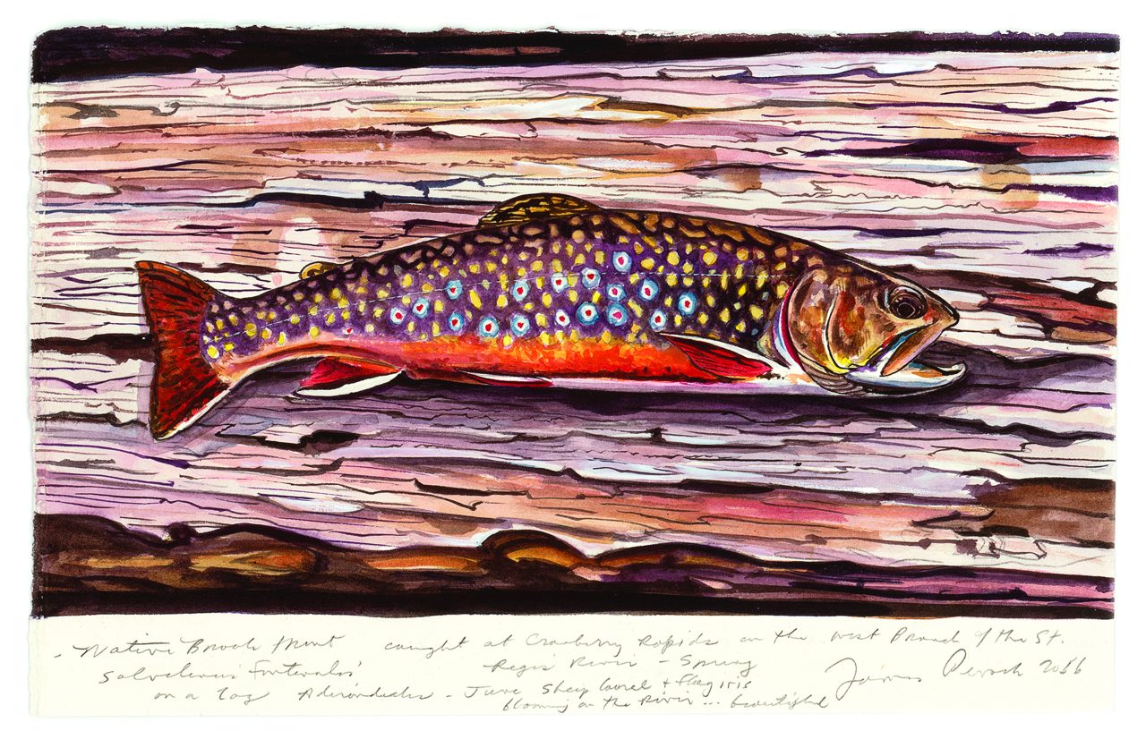 James Prosek on Representation in Art and Nature - Adirondack Life Magazine