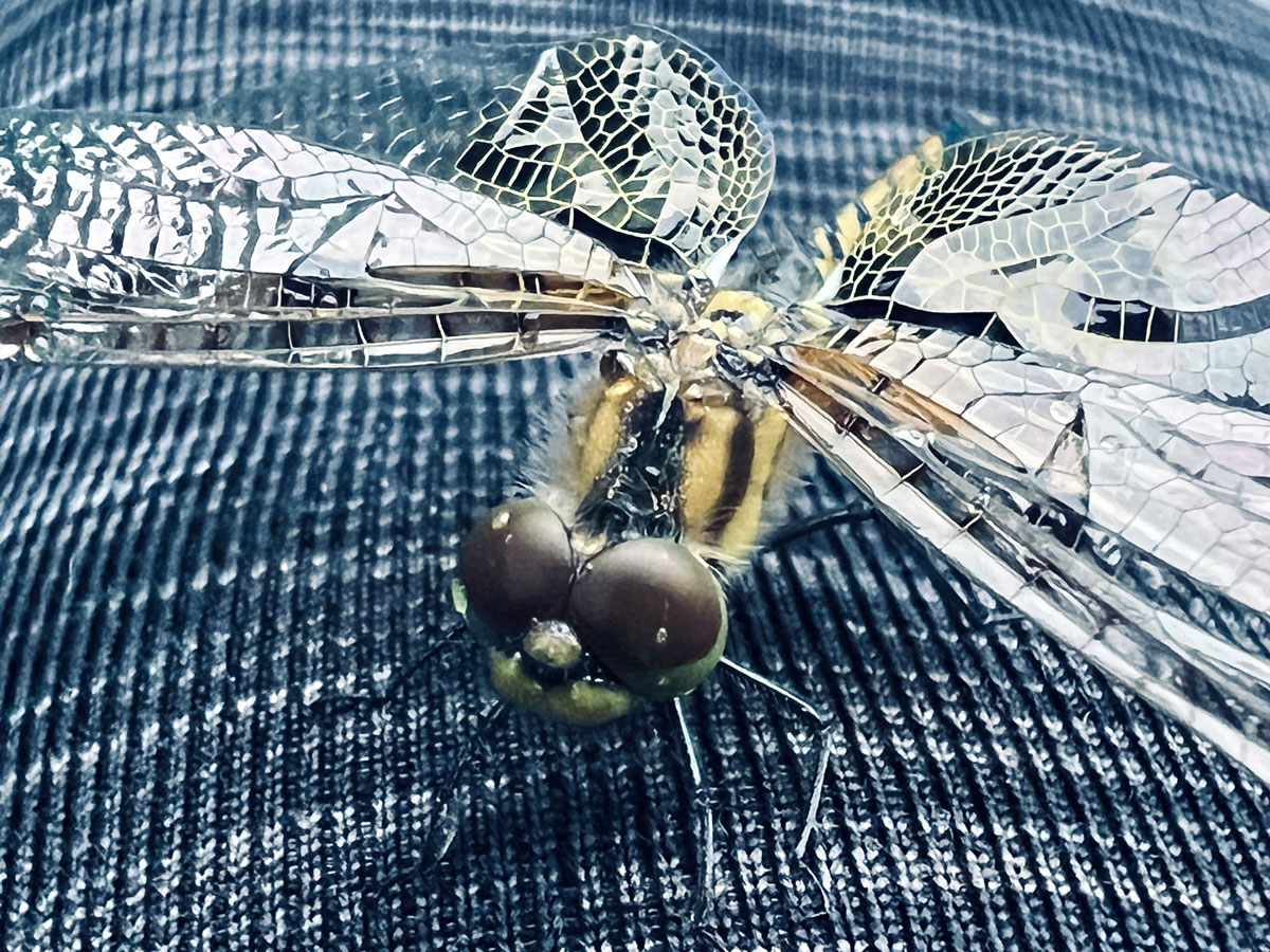 Awards Show: Our 2024 Photography Contest - Adirondack Life Magazine