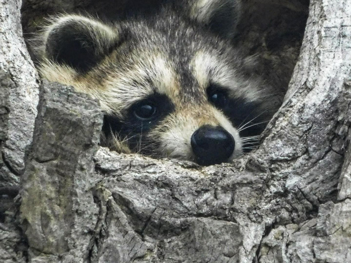 Awards Show: Our 2024 Photography Contest - Adirondack Life Magazine