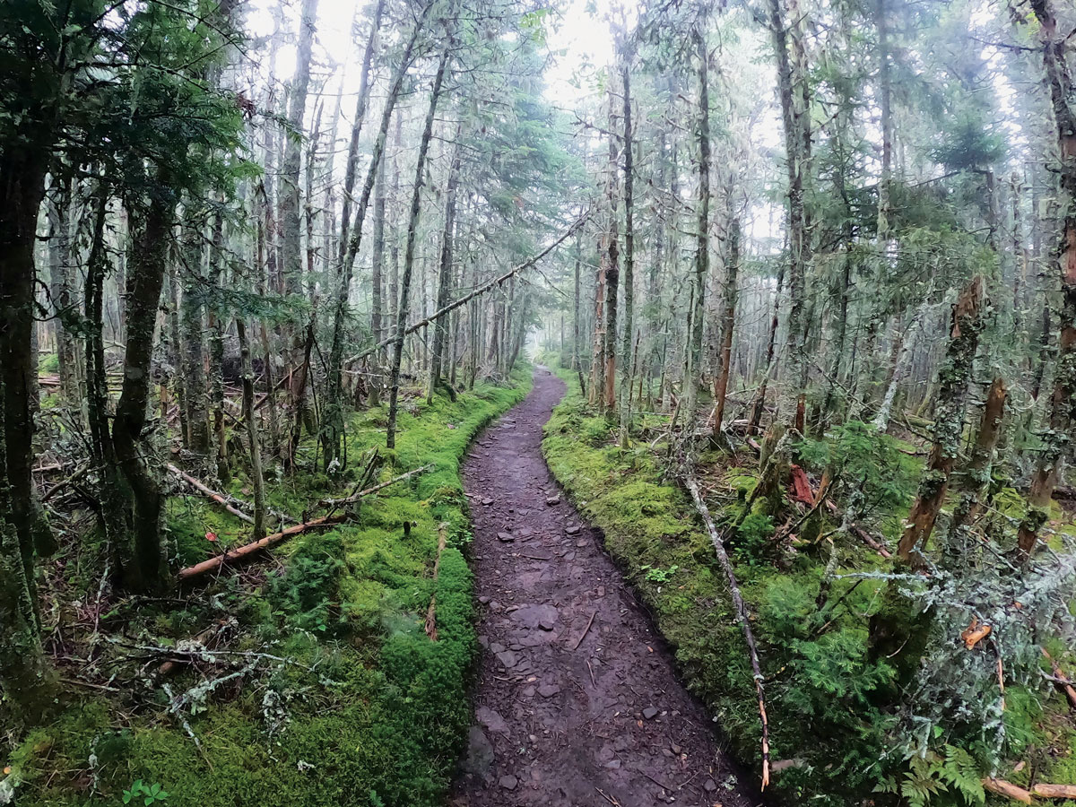 Awards Show: Our 2024 Photography Contest - Adirondack Life Magazine