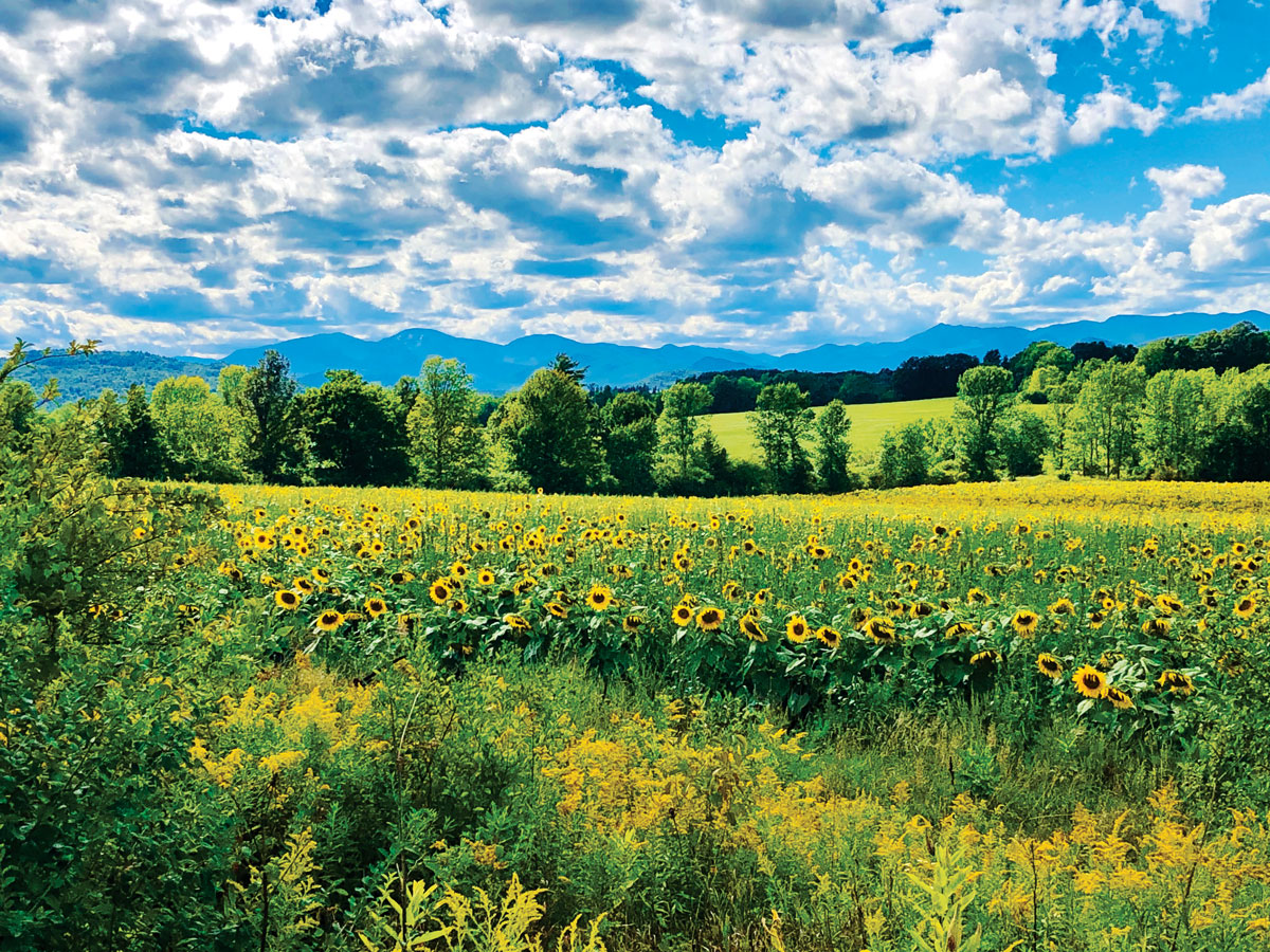 Awards Show: Our 2024 Photography Contest - Adirondack Life Magazine