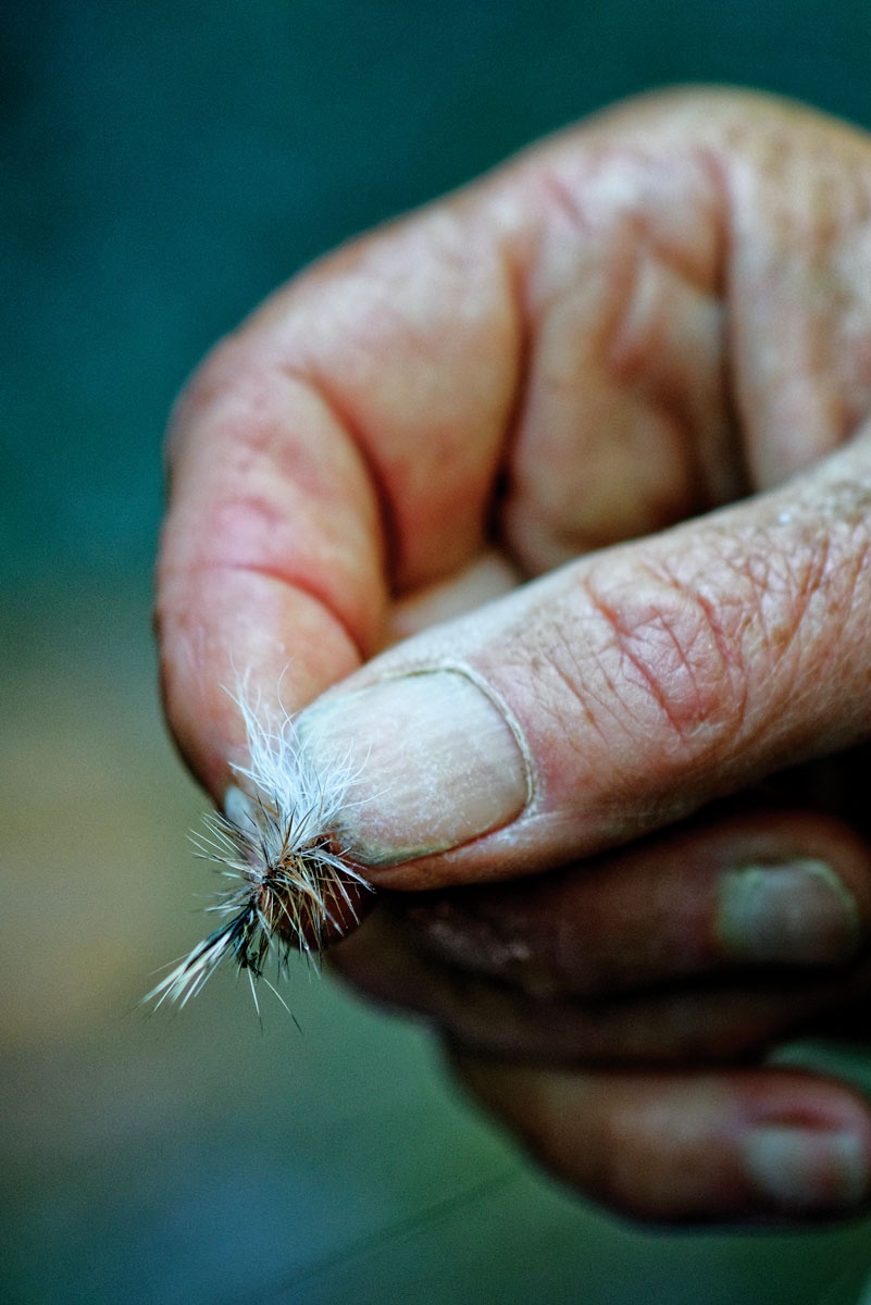 Awards Show: Our 2024 Photography Contest - Adirondack Life Magazine