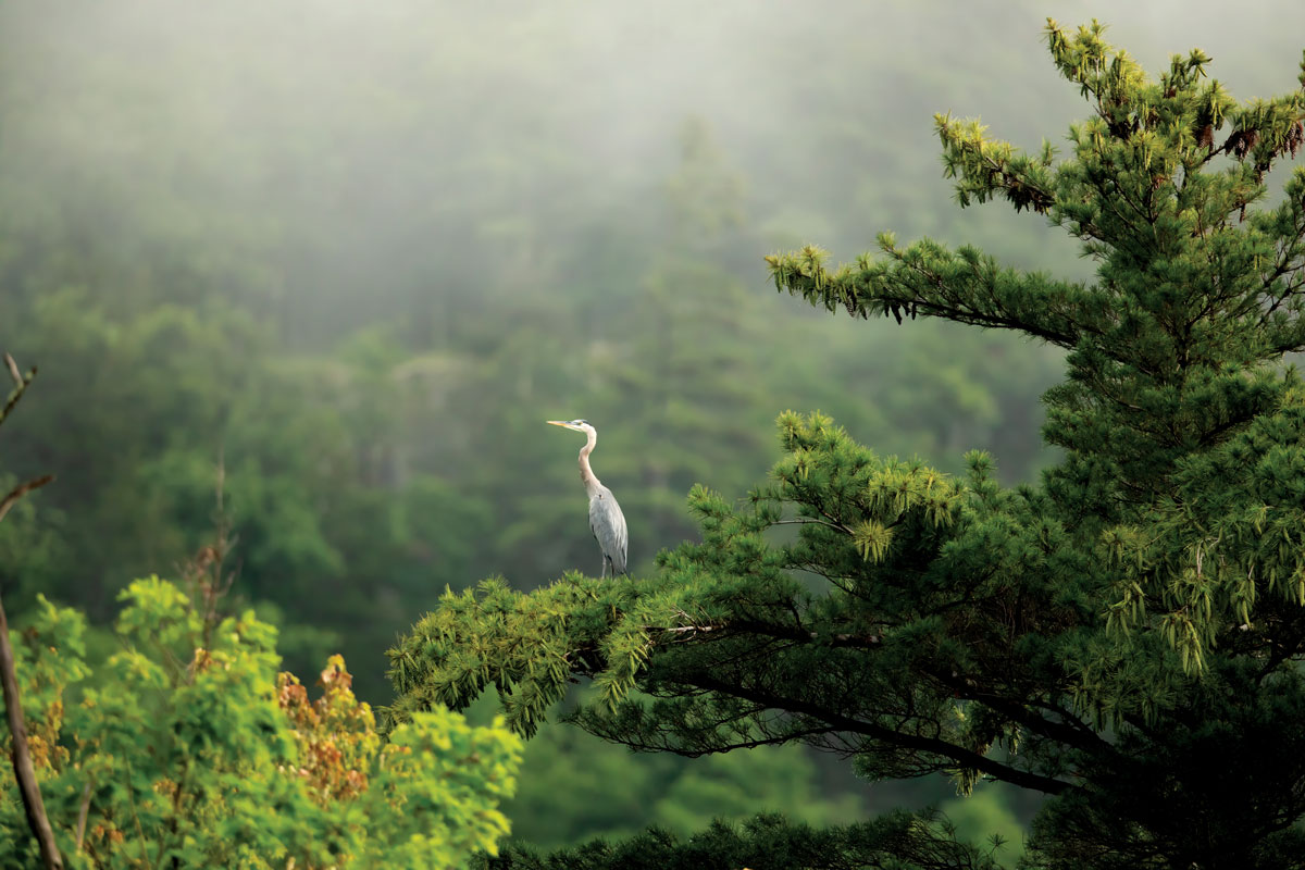 Awards Show: Our 2024 Photography Contest - Adirondack Life Magazine